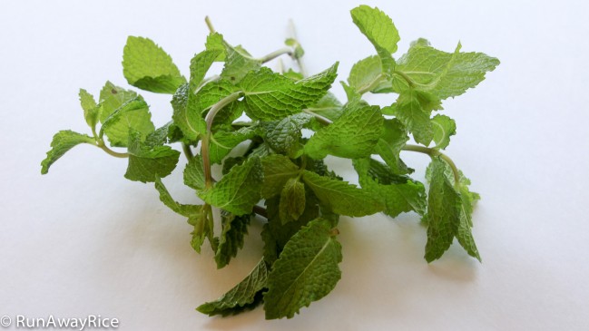 Quick Guide to Vietnamese Herbs