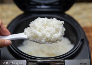Broken Rice (Com Tam) - What Is It?