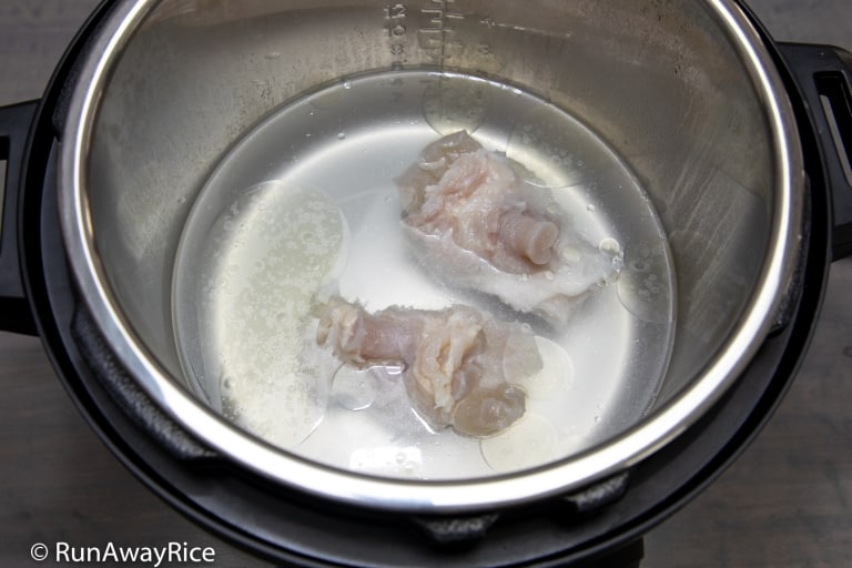 Instant Pot Beef Tendon (Gan Bo) - Cooking Beef Tendon in the Instant Pot