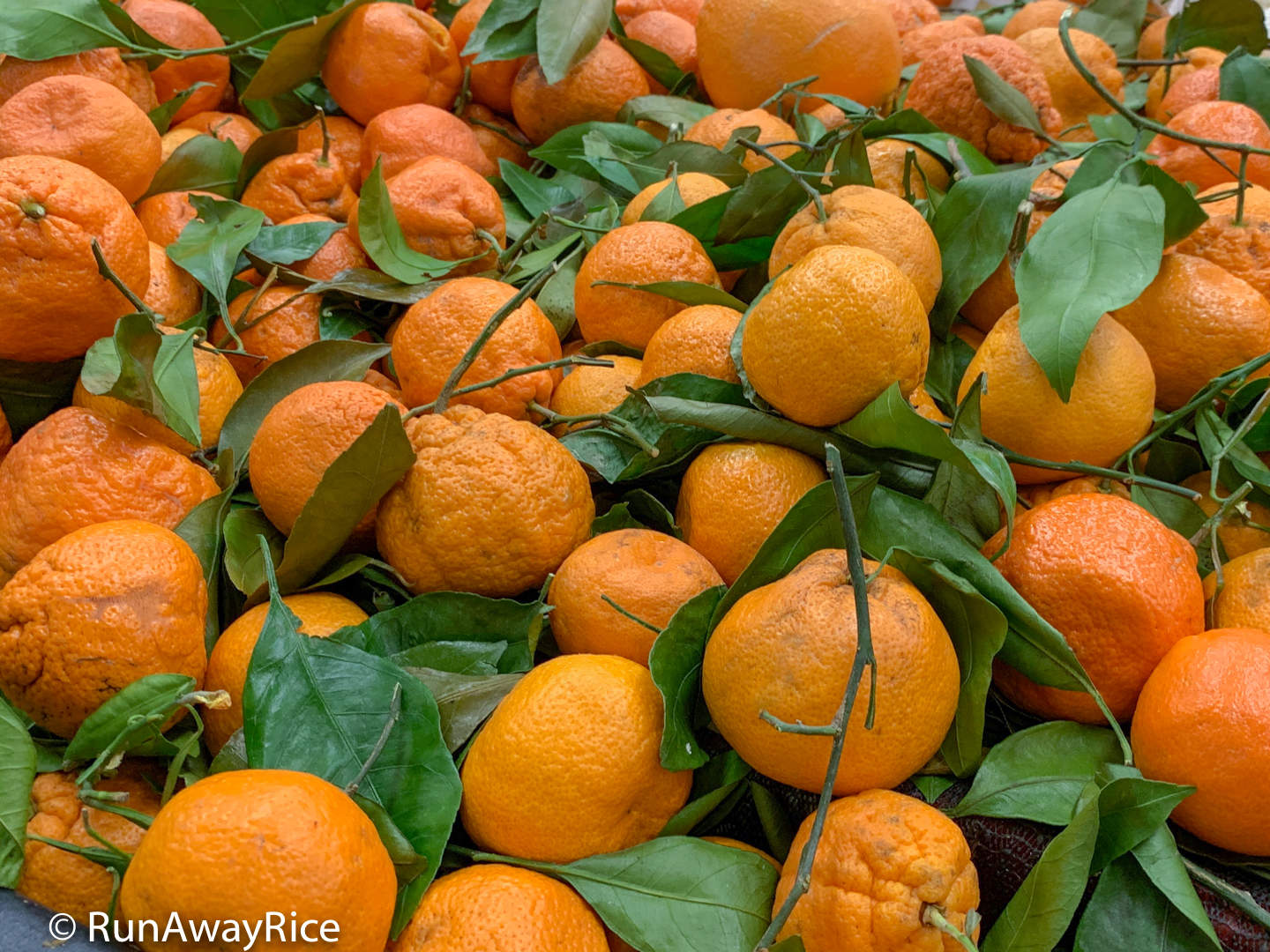 Fruits for Lunar New Year