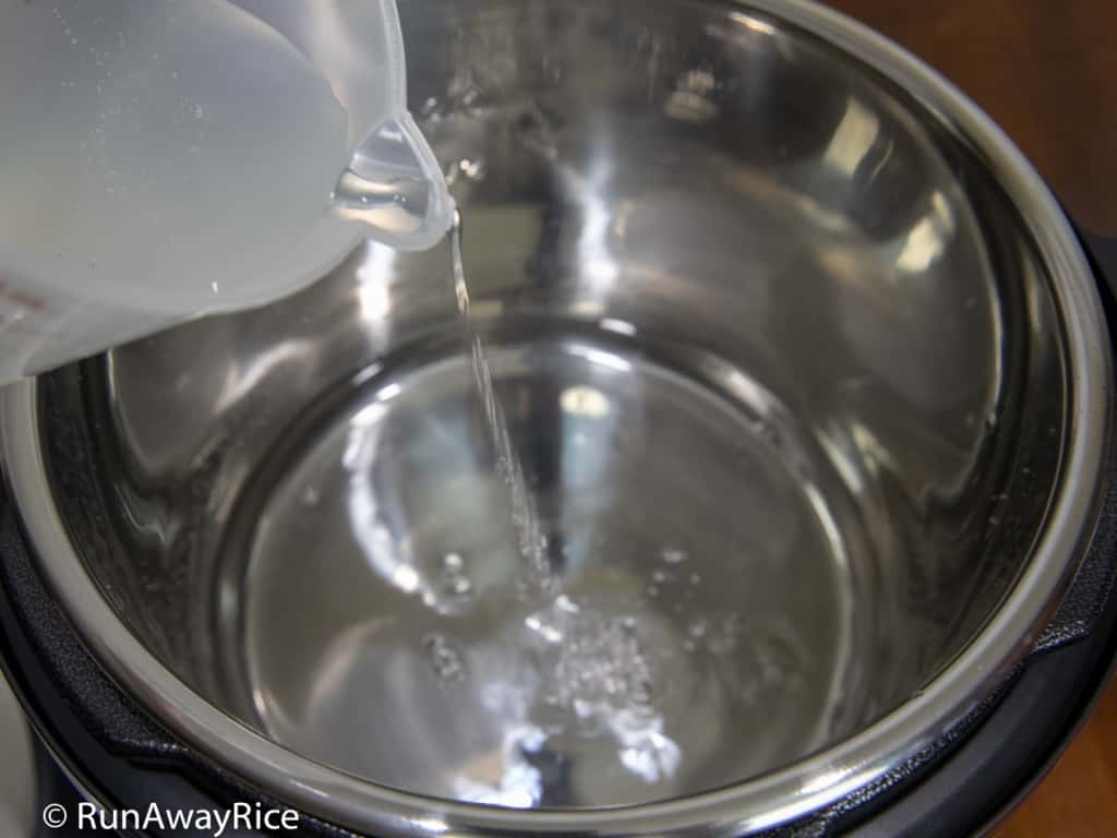 Instant Pot Duo Plus 6 Quart - Unboxing and the Essential Water Test