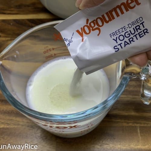 Homemade Yogurt - Instant Pot Recipe