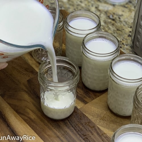 Homemade Yogurt - Instant Pot Recipe