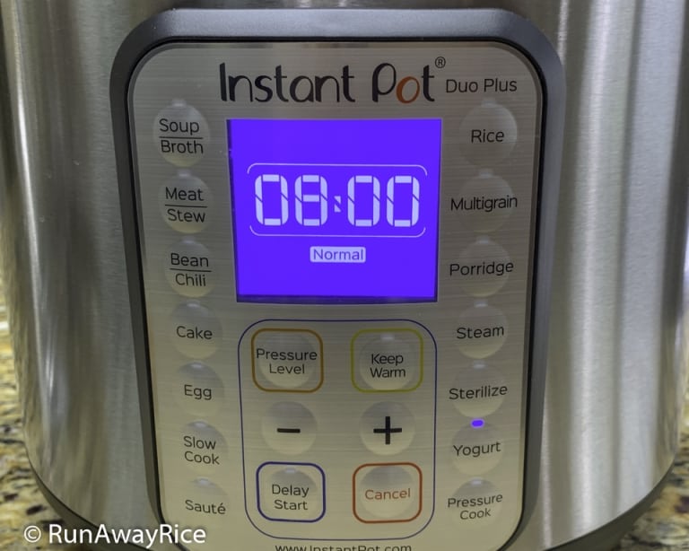 Homemade Yogurt - Instant Pot Recipe