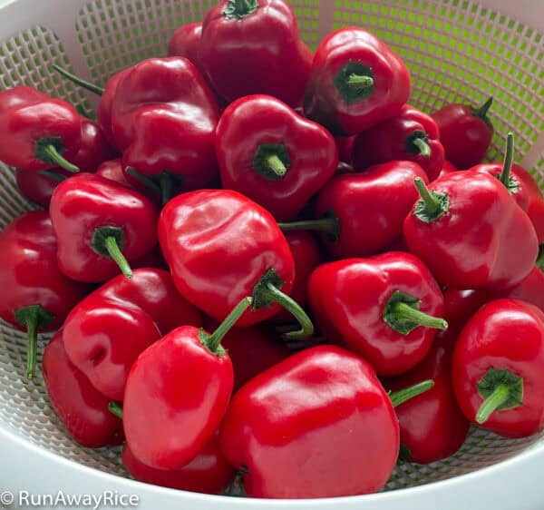 Rocoto Peppers: The Spicy Red Gems of My Summer Garden